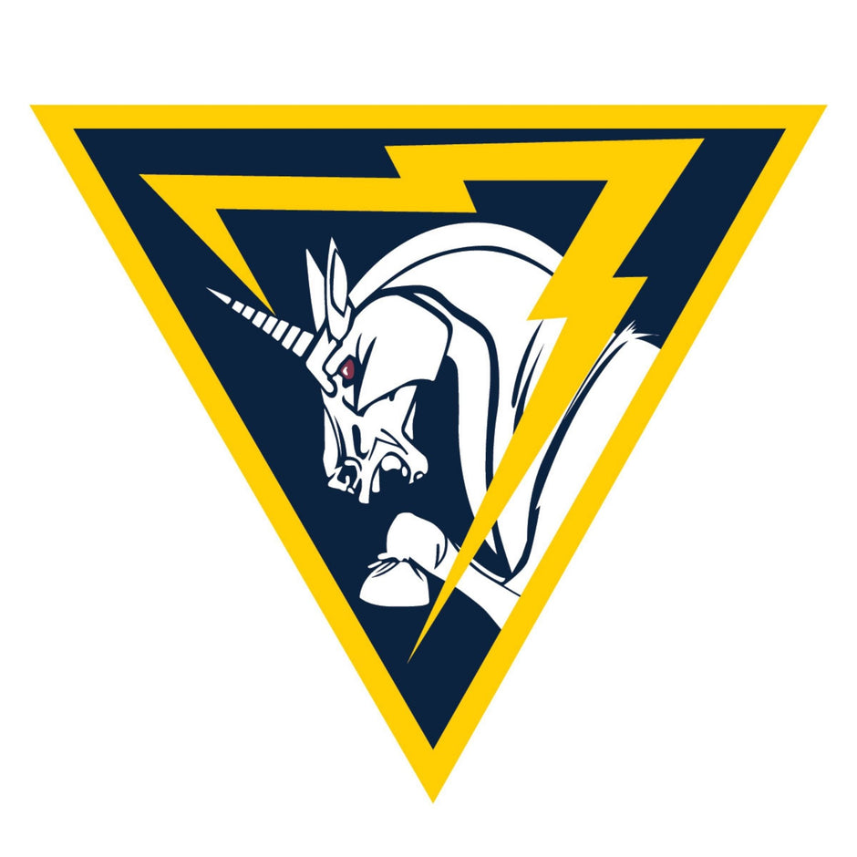 Cadet Squadrons & Patches – Doolittle Outfitters